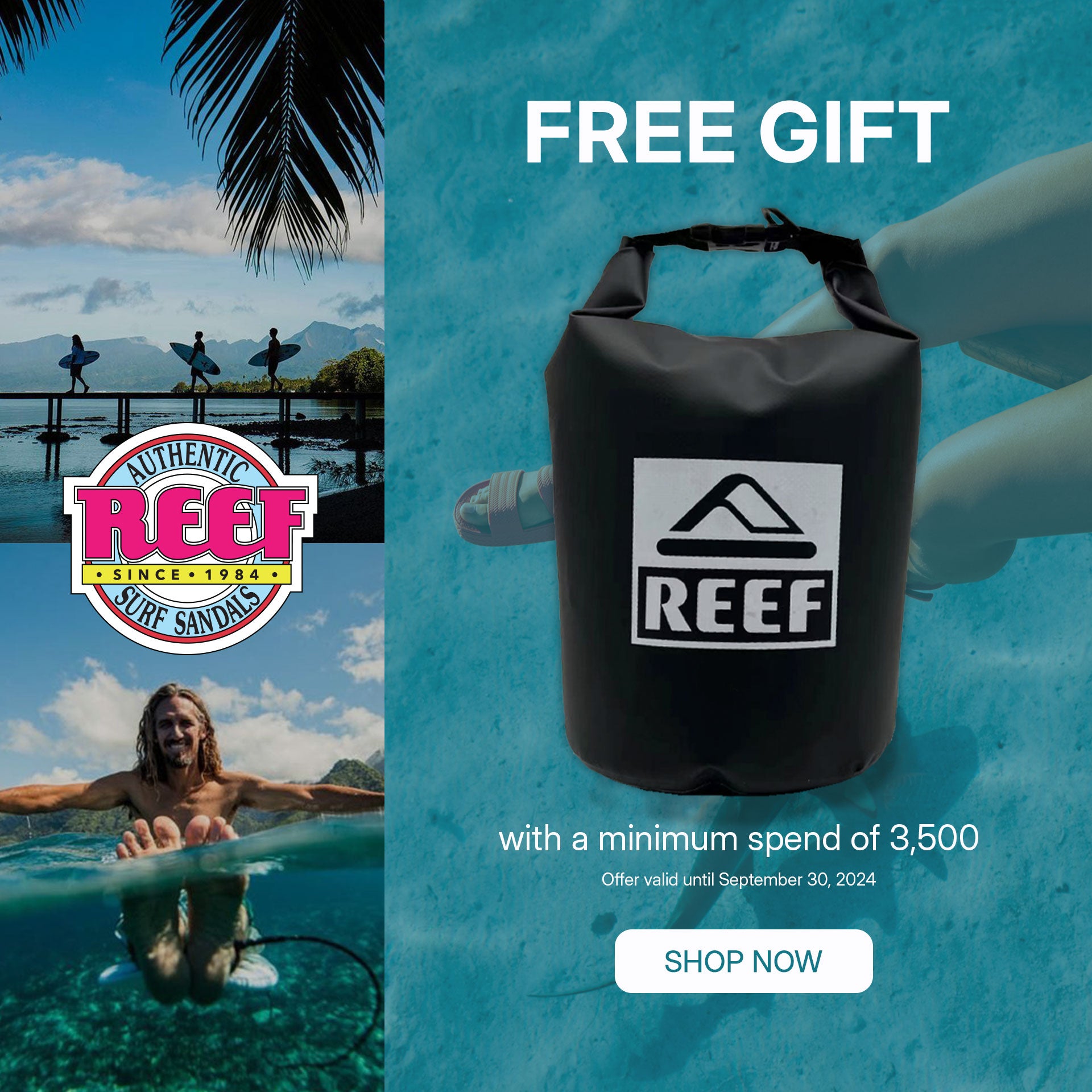 Solid Streak Rashguard – Grind PH